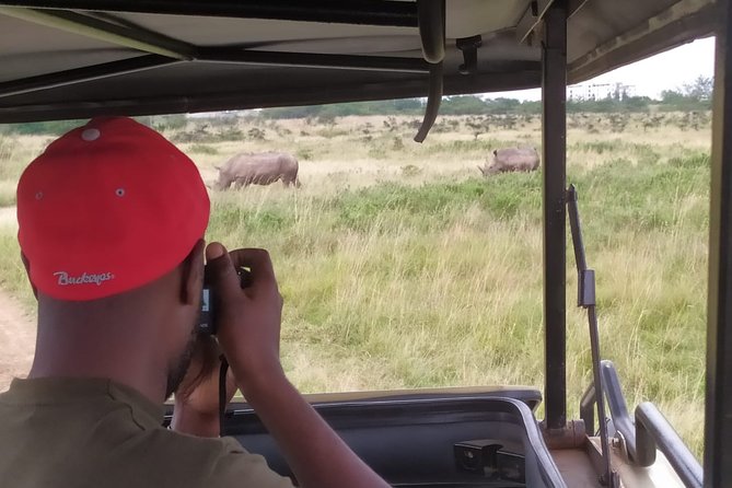 Nairobi national park half day tour; free wi fi connection authentic experiences and common praise