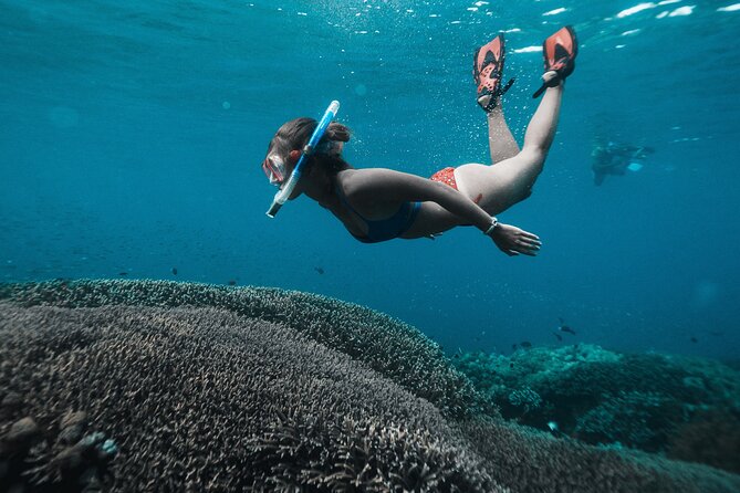 Nusa penida day trip: boat, 4 snorkeling, manta rays & land tour what makes this tour stand out?