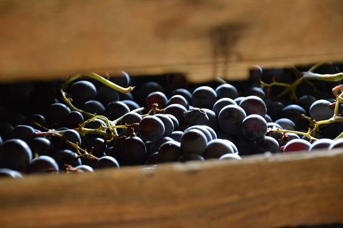 Pagus Wine Tours® - A taste of Amarone - Half day wine tour