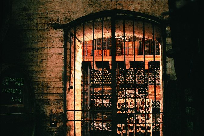 Premium wine tour in viña cousiño macul spanish official who will love this tour?