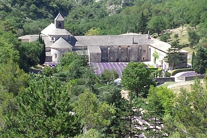 Provence Highlights Full-Day Tour from Avignon