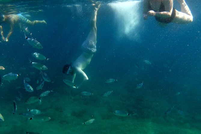 Pula Kayak Tour-Cliff jumping,snorkeling& free GoPro pictures