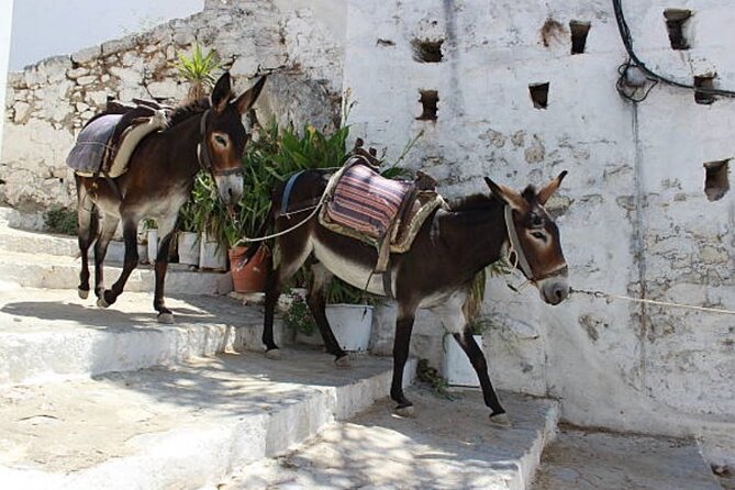 Rhodes, Lindos and Medieval City Guided Tour from Cruise Port