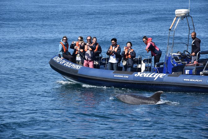 Sealife Sea Safari, Dolphin Watching with Marine Biologist's Lagos