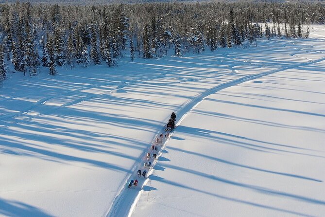 Sit Down Husky Ride Dog Sled Tour in Kiruna