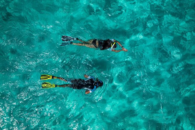 Snorkelling Trip at Ponta de São Lourenço Protected Area
