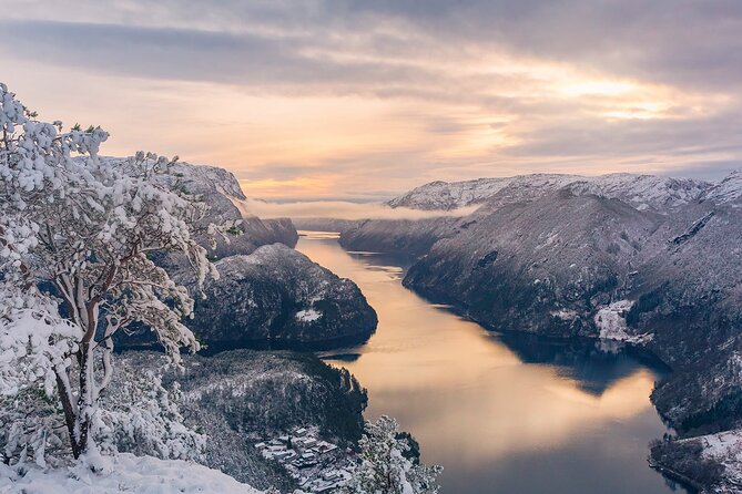 The Best Fjordcruise: Bergen fjord by Zodiac or Pontoon Boat