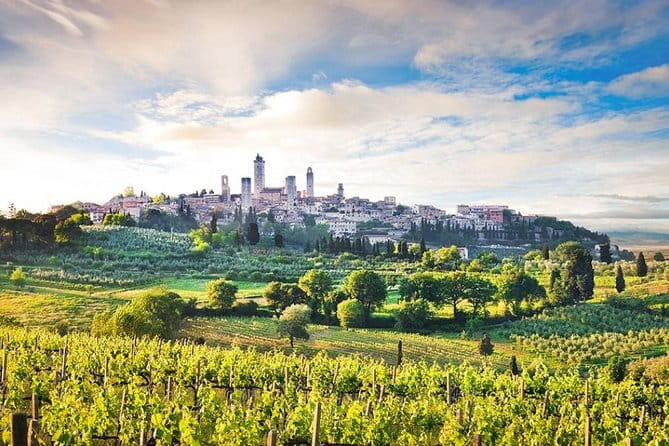 The Best of Tuscany: Private Full Day Tour From Florence
