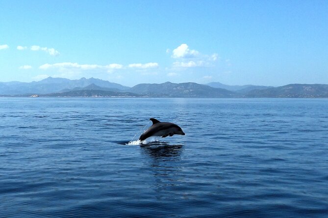 Tour in rubber dinghy and snorkeling in the Protected Marine Area of Tavolara