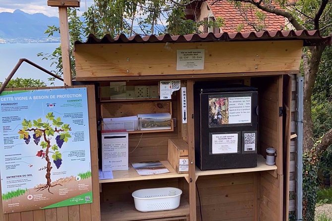 Vine Stories: Lavaux & Lutry wine walk