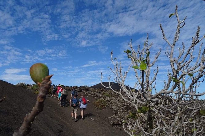 Volcano Trekking Tour (Timanfaya eruptions)