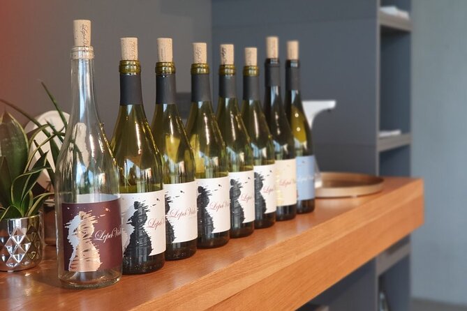 Wine Tasting with Pairing Snacks in Vipava Valley