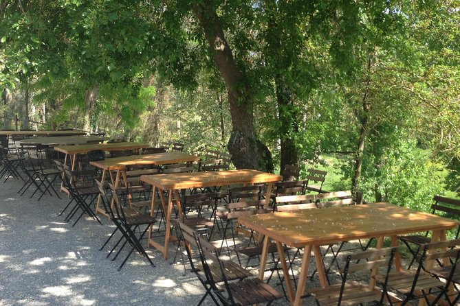 Winery tour with Wine and Olive tasting in Corfu