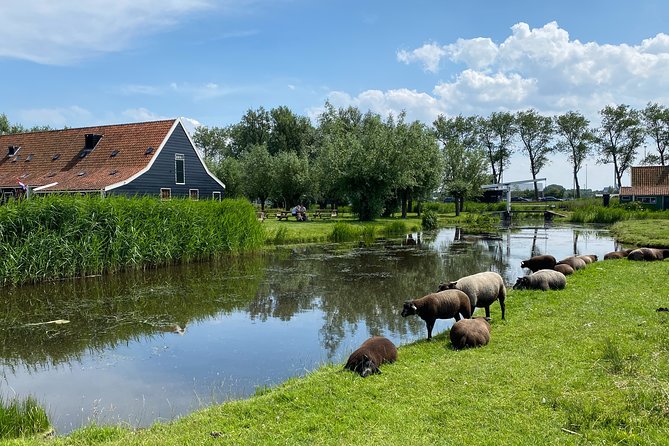 Zaanse Schans Windmills & Zaandam: Countryside Electric Bike Tour