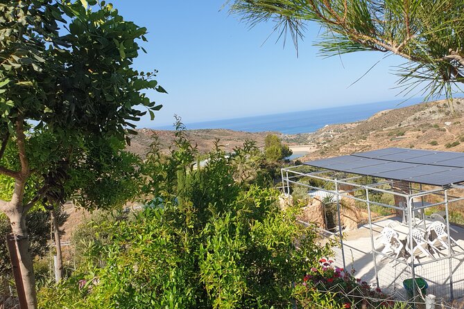 2-Hour Botanic Garden Tour in Akoursos - Final Thoughts: Is It Worth Your Time?