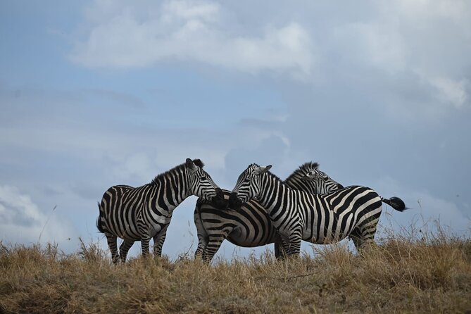 4 Days Group Camping Safari - Who Should Book This Safari?