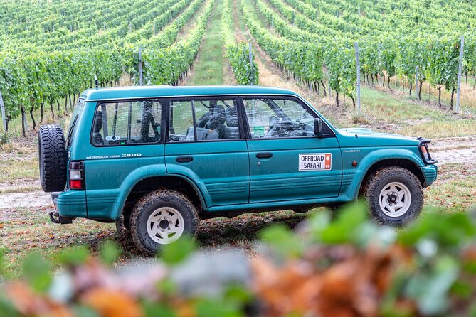 A delightful wine tasting in the scenic countryside with lunch - The Lunch Experience
