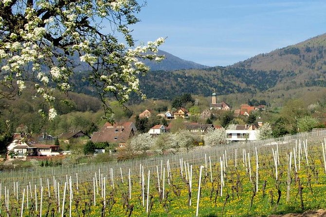 Alsace 4 Wonders Small-Group Day Trip from Colmar - The Itinerary: A Day of Four Wonders