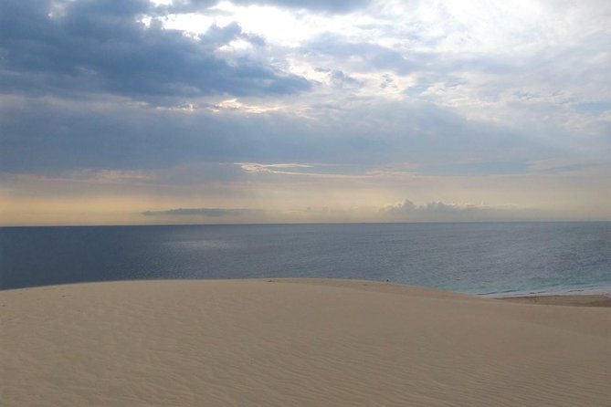 Desert safari, Dune bashing, sandboarding, camel, ATV Option - The Itinerary Breakdown: What to Expect