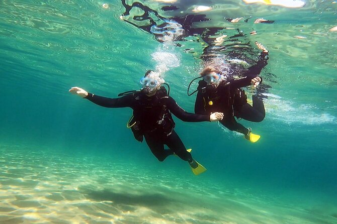 Discover Scuba Diving Experience in Nea Makri, Athens - The Price and Value