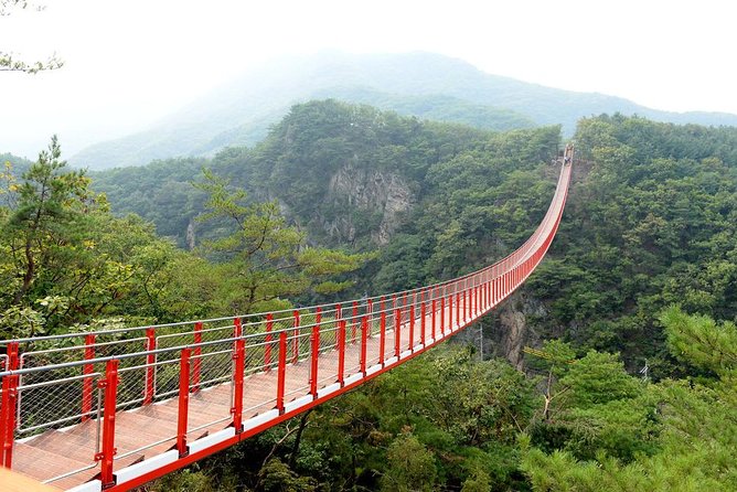 DMZ Tour: 3rd Tunnel, Option(Suspension Bridge, Boat) from Seoul - Who Will Enjoy This Tour?