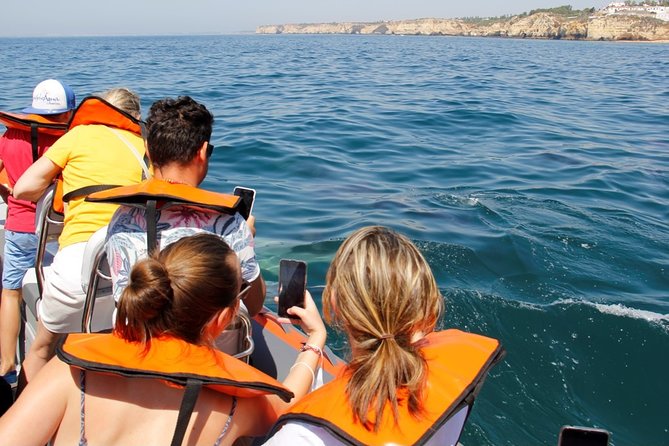 Dolphin and Whale Watching in Lagos - The Value for Money