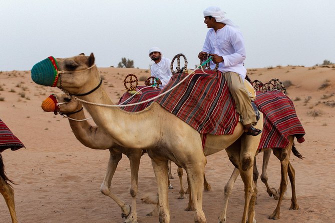 Dubai Camel Desert Safari, Traditional Meal & Heritage Activities - Who Will Love This Experience?