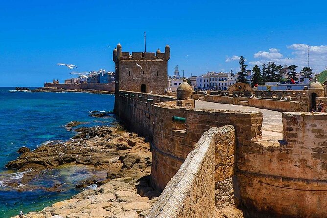 From Marrakech To Essaouira Mogador Full Day Trip | Small-group - Authenticity and cultural insights