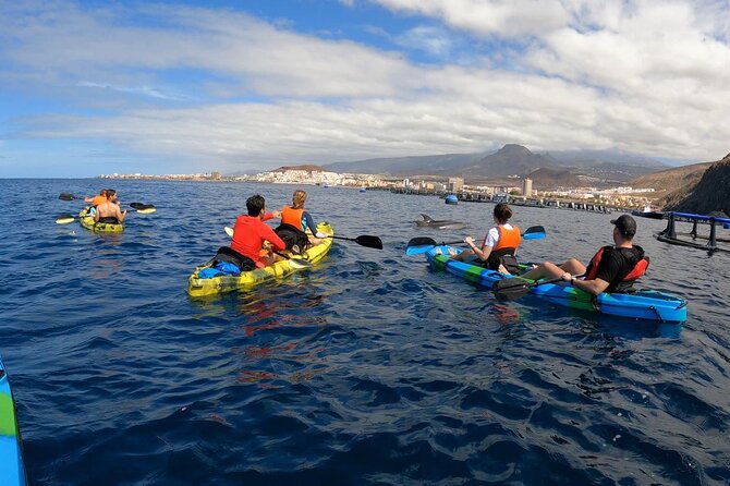 Guided Kayak Tour From Los Cristianos Beach Tenerife - Snorkeling and Underwater Moments
