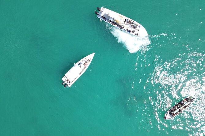 Island Hopping Snorkel Paradise VIP service ( Sports Boat ) - Analyzing the Value