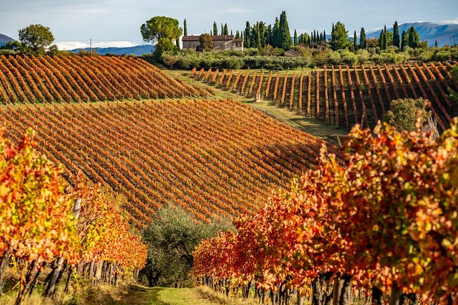 Livorno Shore Excursion: Chianti and Tuscany Countryside Private Wine Tour - FAQ