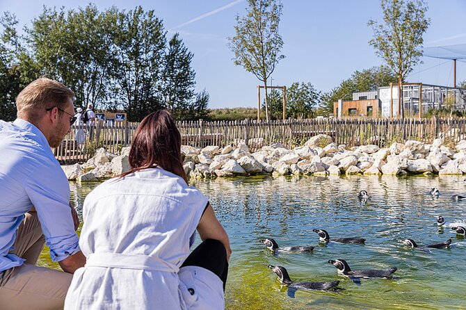 Parrot World Immersive Wildlife Park Entry Ticket next to Paris - Practical Tips for Visiting Parrot World