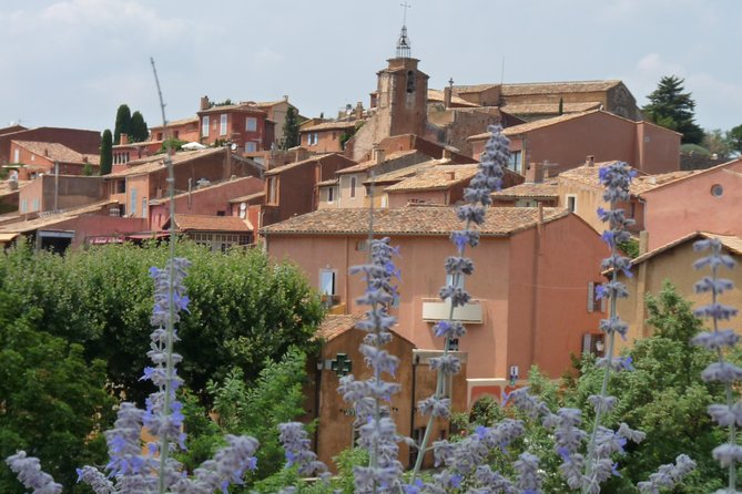 Provence in One Day Small Group Day Trip from Avignon - Saint-Rémy-de-Provence: A Cultural Hub