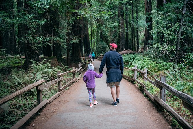 San Francisco Super Saver: Muir Woods & Wine Country w/ optional Gourmet Lunch - Wineries in Napa and Sonoma: Sipping and Exploring