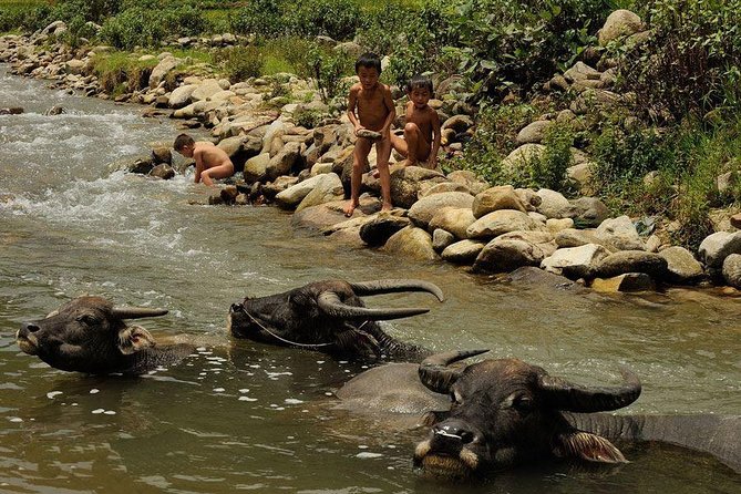 Sapa 2 Days 1 Night From Hanoi - Overnight in Ta Van Village - FAQs