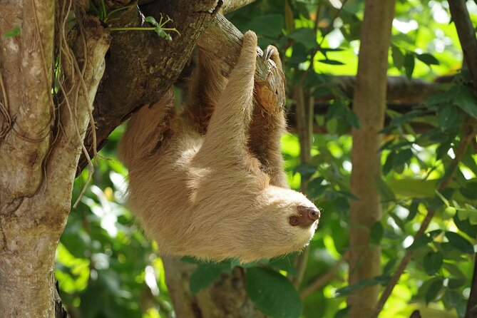 Skip the Line: Diamante Eco Adventure Park: Animal Sanctuary Discovery Ticket - The Experience: What To Expect
