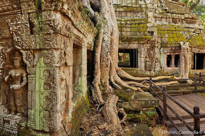 Small-Group Explore Angkor Wat Sunrise Tour with Guide from Siem Reap - The Practicalities