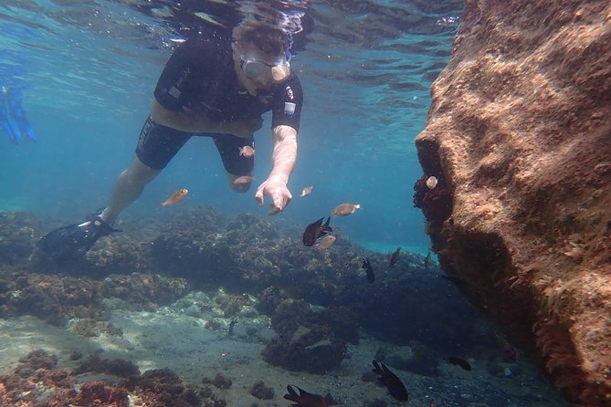 Snorkeling Tour - Who Will Love This Experience?