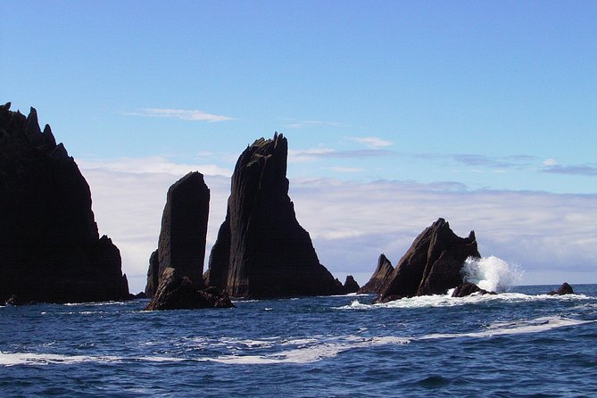 Blasket Island Eco Tour. - Why This Tour Works