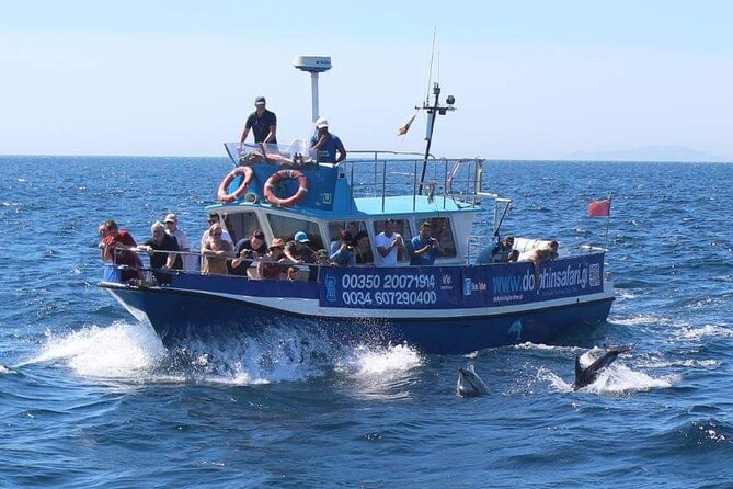 Dolphin Watching in Gibraltar Dolphin Safari V.I.P - Photography and Viewing Tips