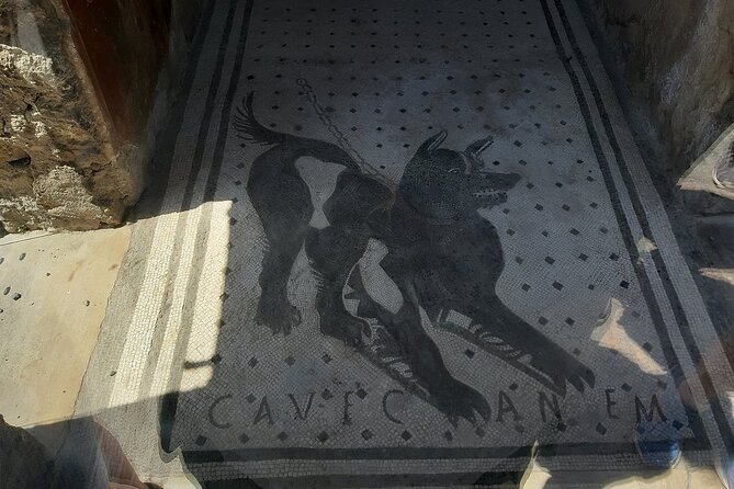 Guided Tours of Pompeii Excavations Historical and Cultural Itineraries - Final Thoughts: Who Will This Tour Suit Best?
