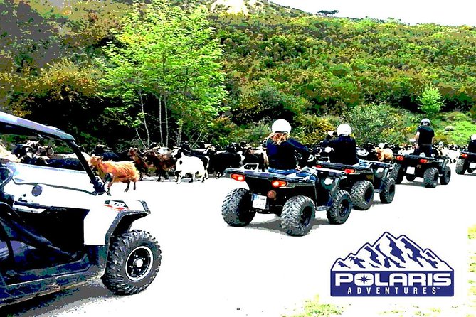 Half-Day Rethymno Quad Safari - The Sum Up