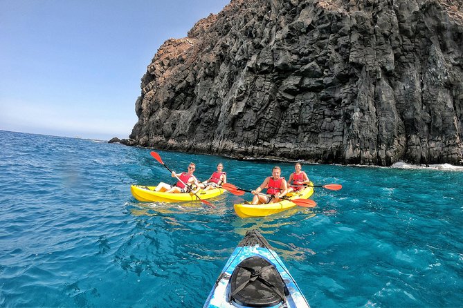 Kayak with Dolphin & Turtle Watching Private Tour - Final Thoughts
