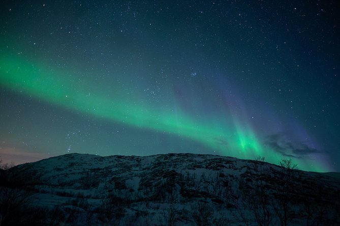 Northern Lights Tour from Kiruna to Abisko with Dinner - Authentic Experiences and Realities