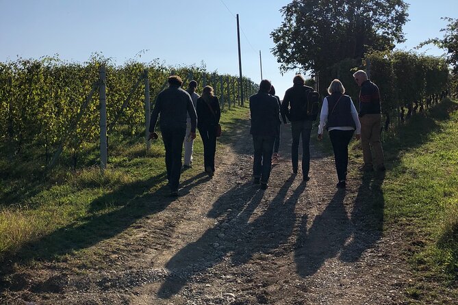 Private Barolo / Barbaresco - Piedmont Wine Tours and Tastings - Who This Tour Is Best For