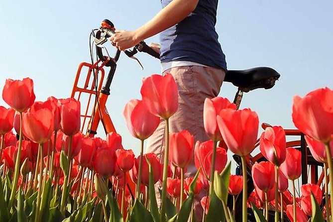 Private Guided Full-Day Customizable Tour of Holland from Amsterdam - The Food and Drinks: A Tasty Bonus