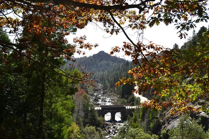 Small Group Peneda Geres National Park Full Day Tour from Porto - Authentic Stories from Travelers