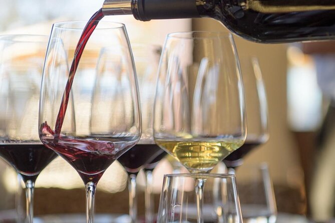 Small group Wine Tasting Tour from Lagos - Who Will Love This Tour?