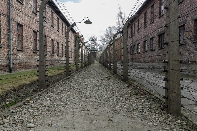 Auschwitz-Birkenau & Wieliczka in one day Best Value Shared Tour - What We Think Based on Reviews