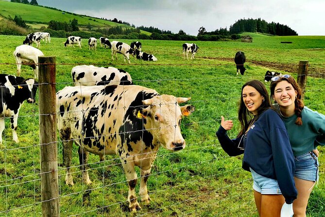 Azores: Shore Excursion Furnas - Crater volcano and hot springs - Who Should Consider This Tour?